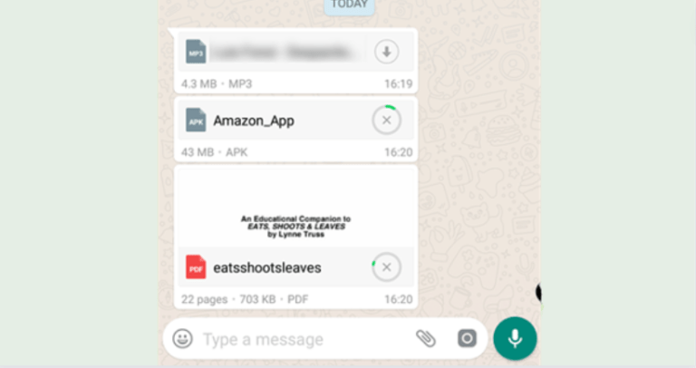 How to send an invisible message on WhatsApp?